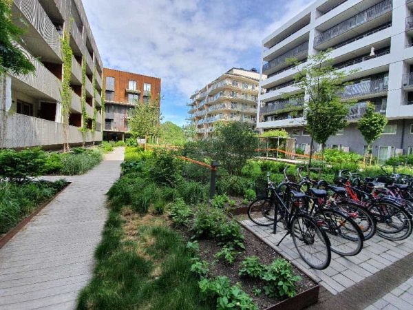A Look Inside Stockholm Path To Sustainable Development