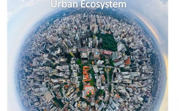 Urban Ecosystems: 5 Lifestyle Changes to restore them : Earth5R