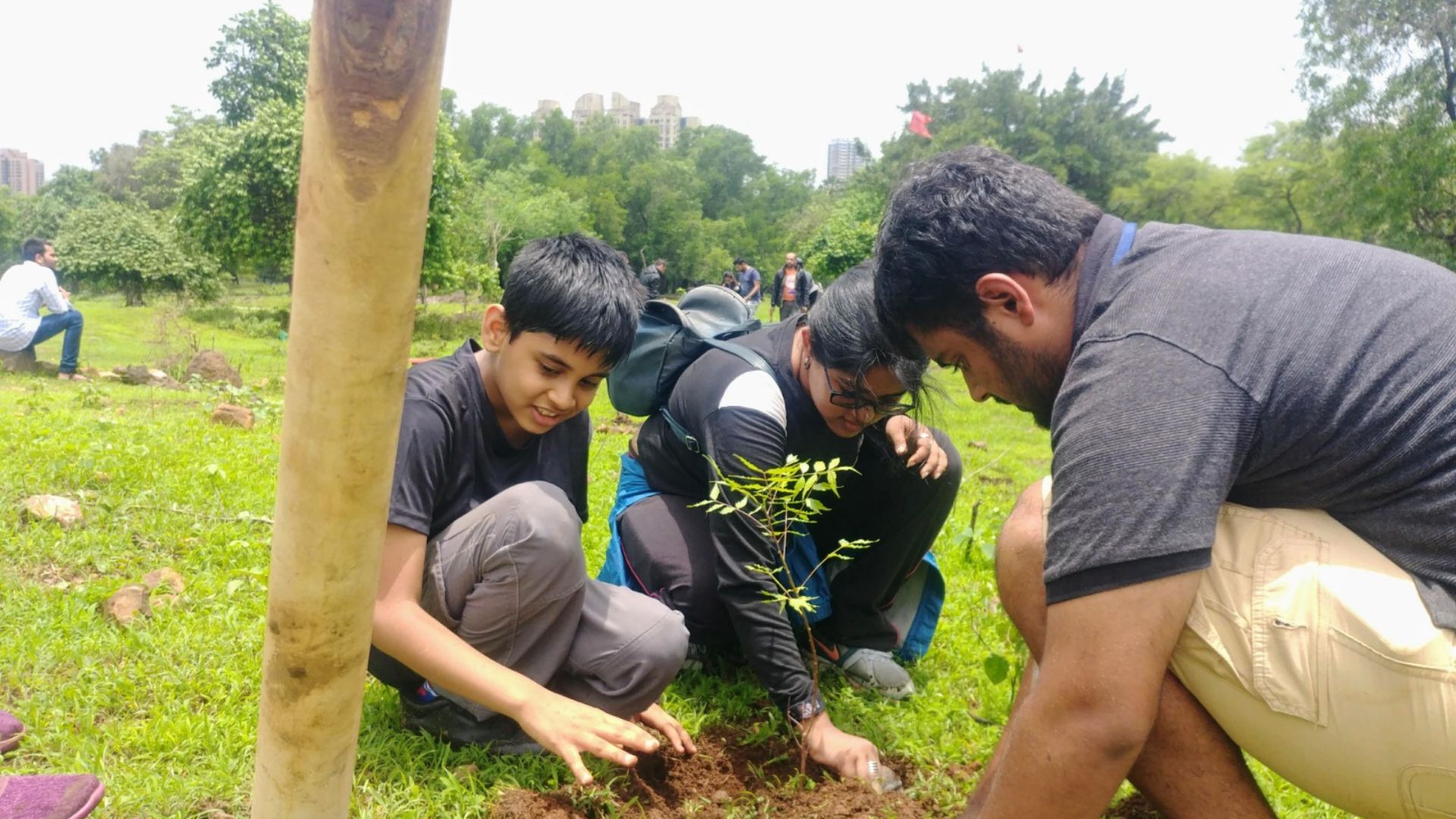 Urban Plantation Drives: Nurturing Nature in Urban Spaces : Earth5R