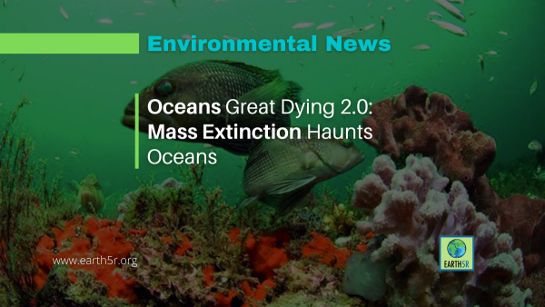 Oceans Great Dying 2.0: Mass Extinction Haunts Oceans : Earth5R