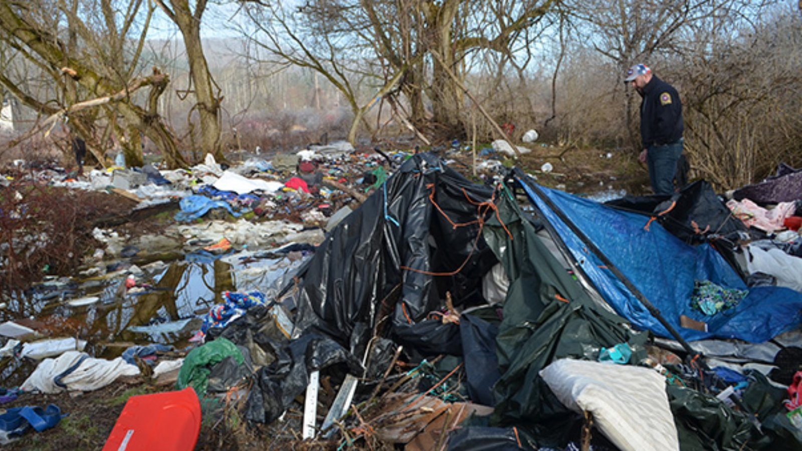 Pollution In The Sacramento River And Hope For Its Future : Earth5R