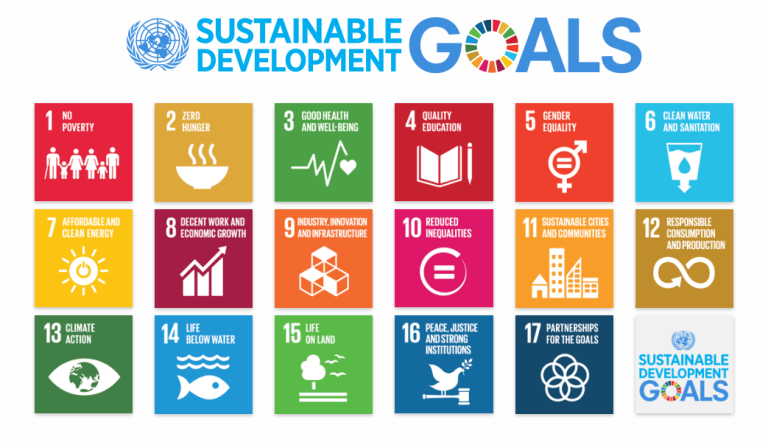 What are Sustainable Development Goals (SDGs)? : Earth5R