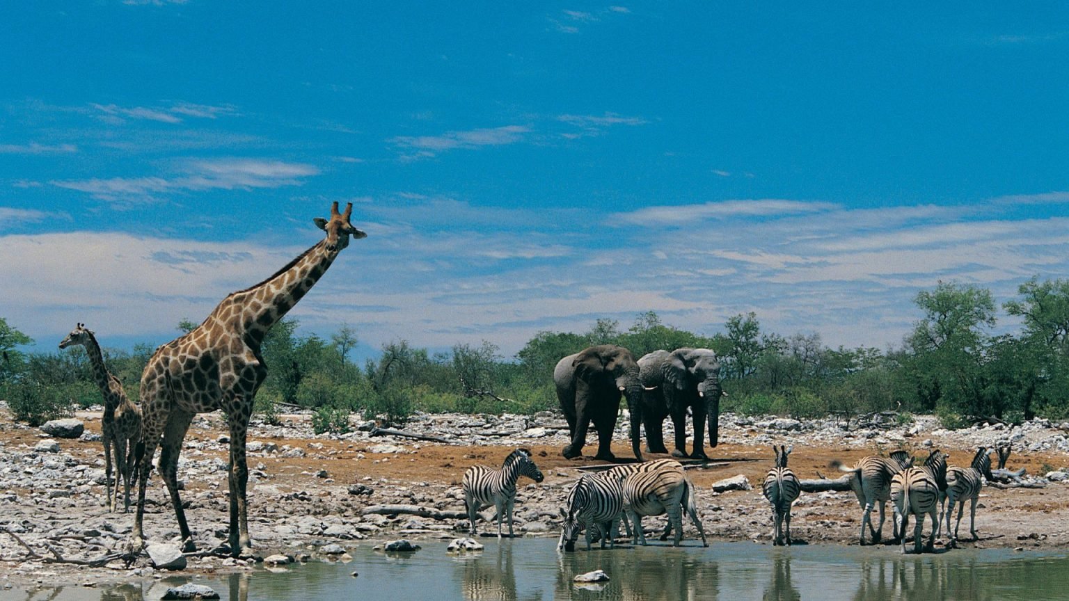 Water Conservation and Management Projects : Earth5R