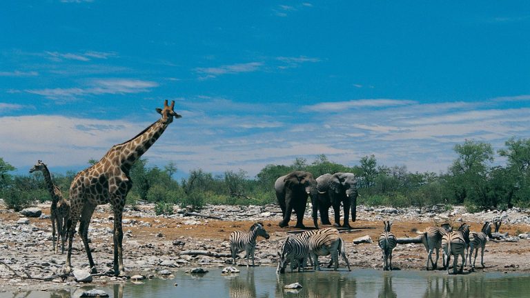 Water Conservation and Management Projects : Earth5R