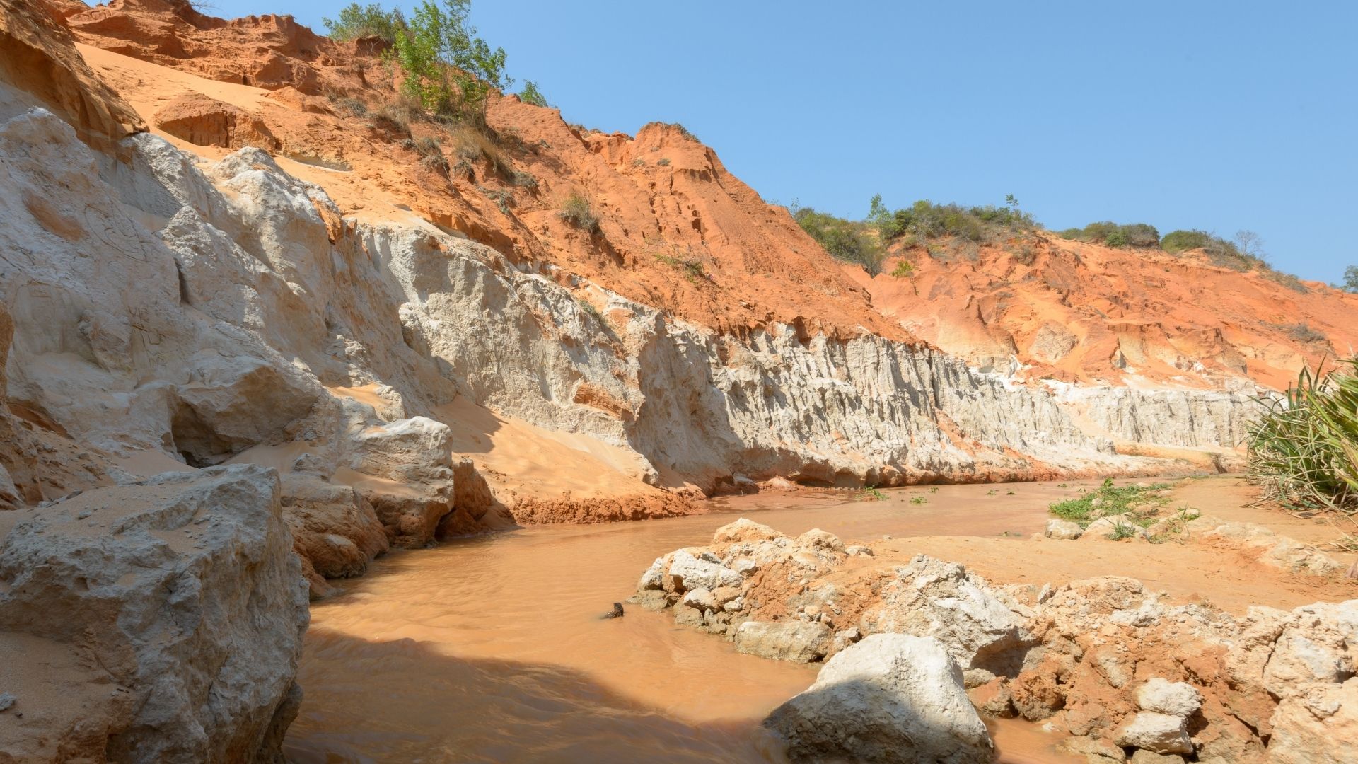 Science Internships - Earth5R