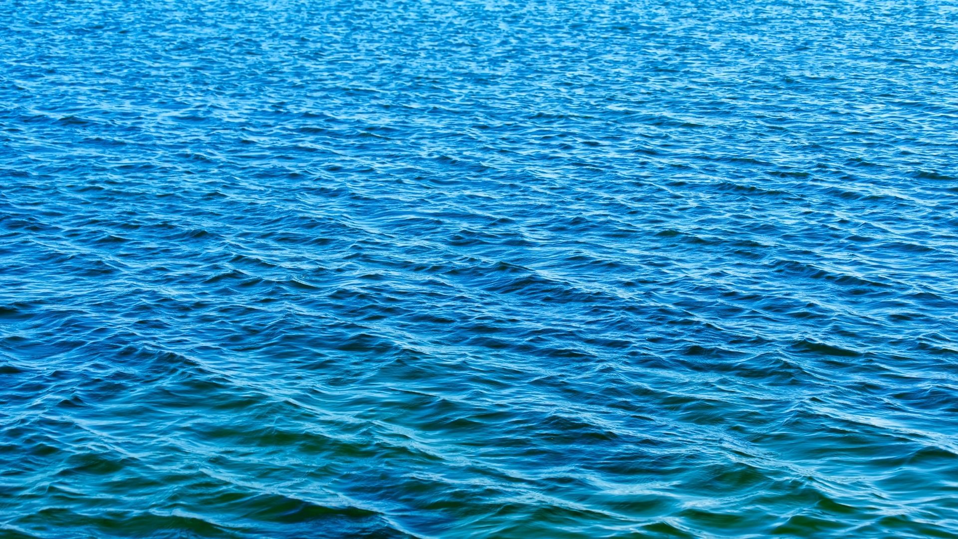 Science Internships - Earth5R