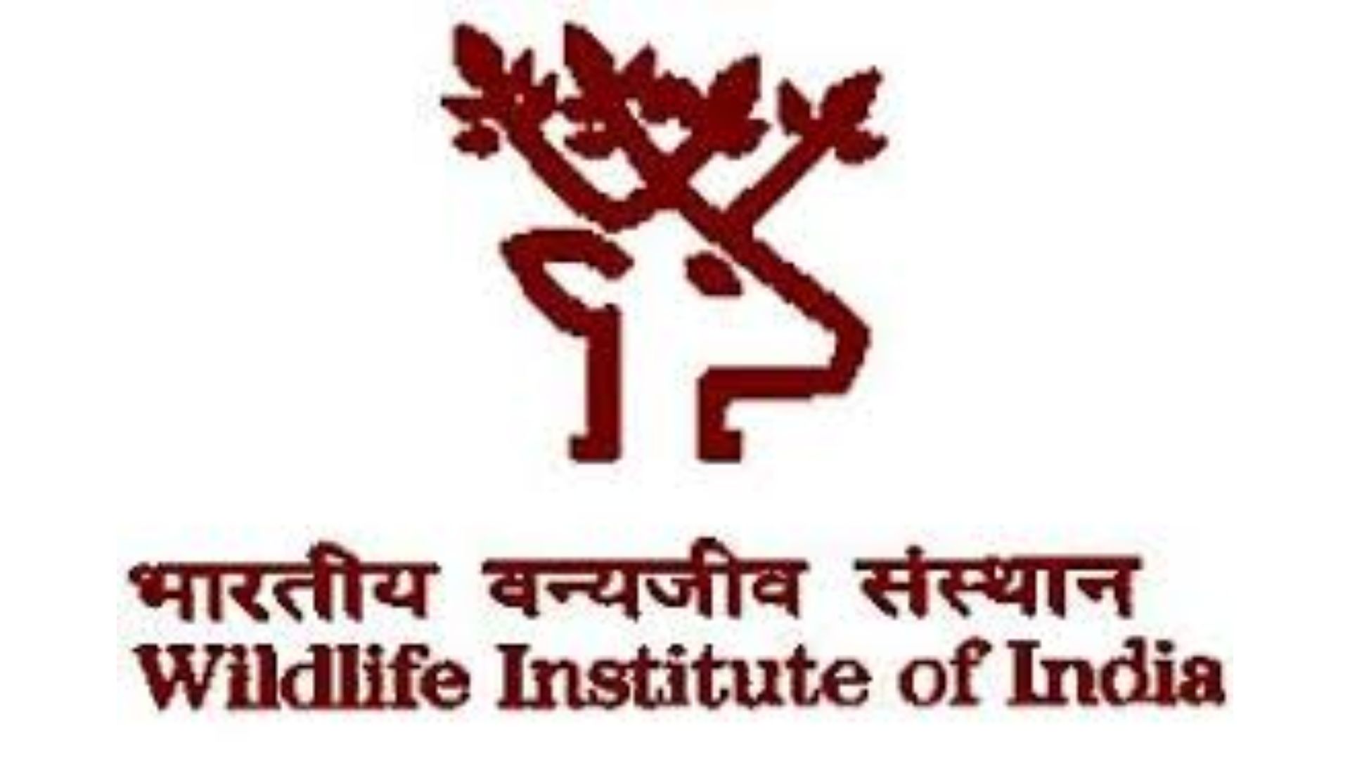 Environmental Sustainability Internships in India : Earth5R