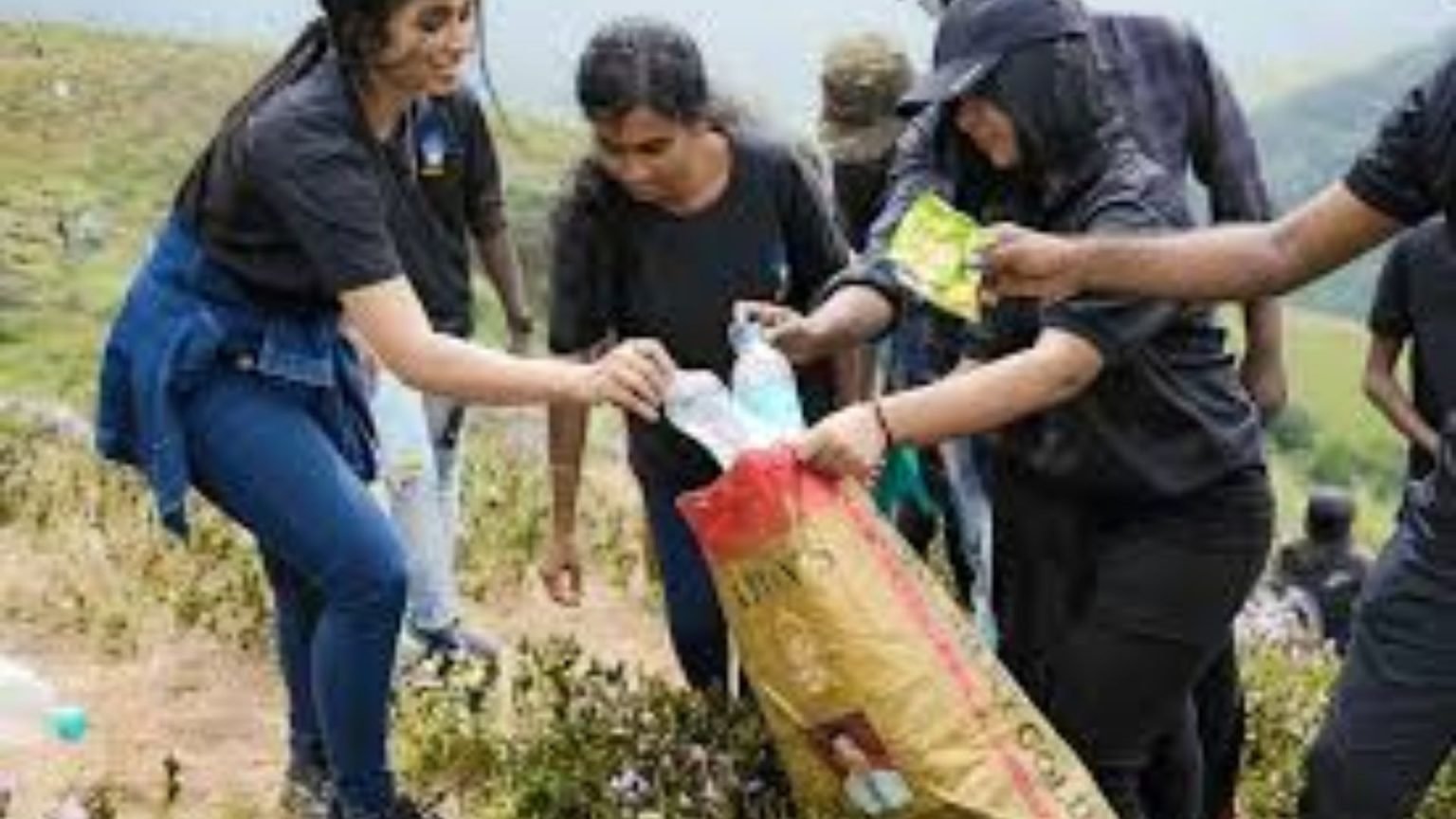 Corporate Volunteering: Benefits, Examples and Ideas : Earth5R