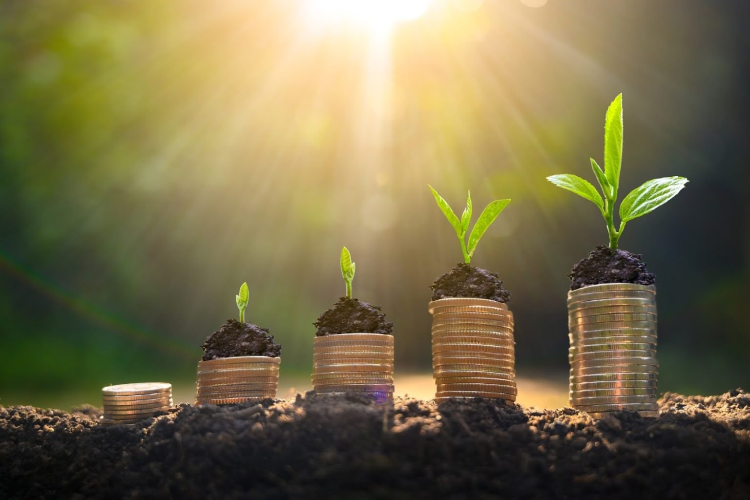 Understanding India’s Green Credit Program: A Pathway to Environmental ...
