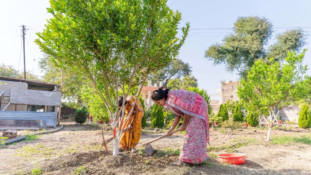 Plantation Project in Rural Maharashtra (₹80 Lakh / ~$96,000) : Earth5R