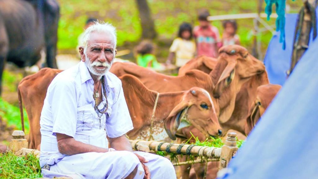 Plantation Project in Rural Maharashtra (₹80 Lakh / ~$96,000) - Earth5R