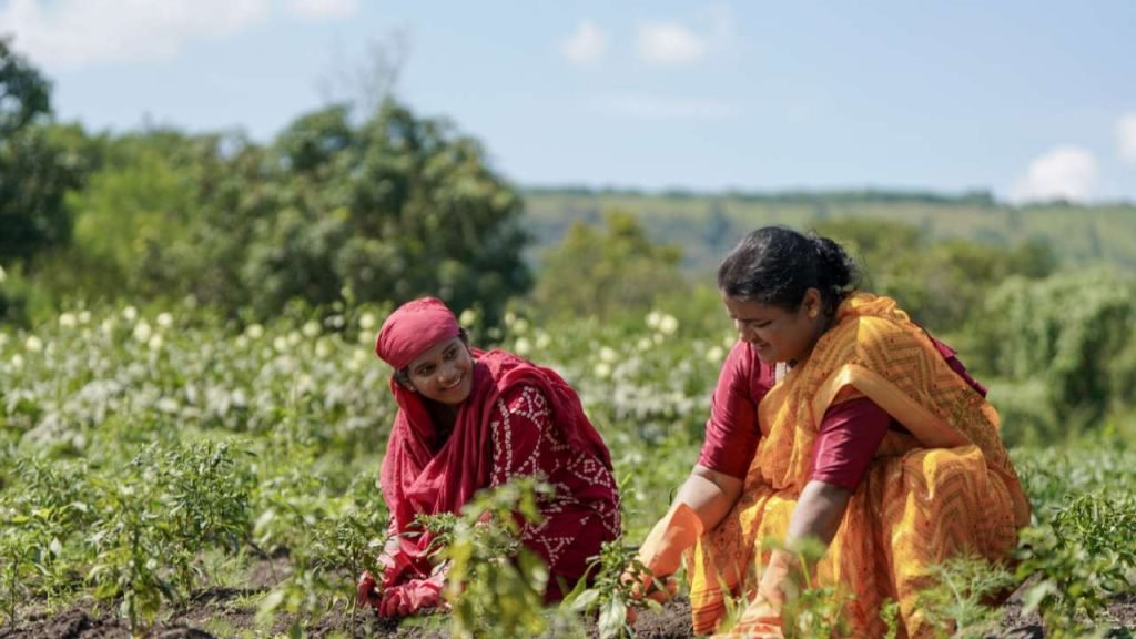 Plantation Project in Rural Maharashtra (₹80 Lakh / ~$96,000) : Earth5R