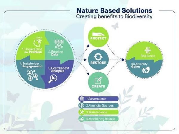 Earth5R’s Community-Led Lake Restoration Framework: A Scalable Model ...