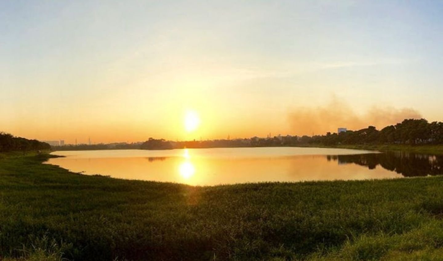 Urban Biodiversity Restoration: Earth5R’s Ecological Revival of Agara ...