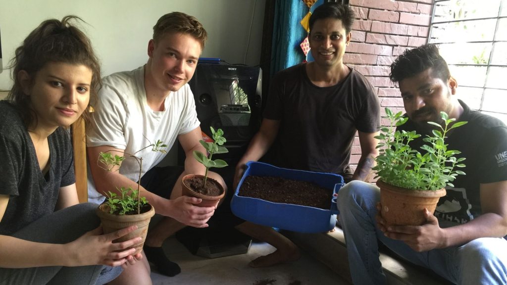 Environmental Sustainability Internships in India - Earth5R