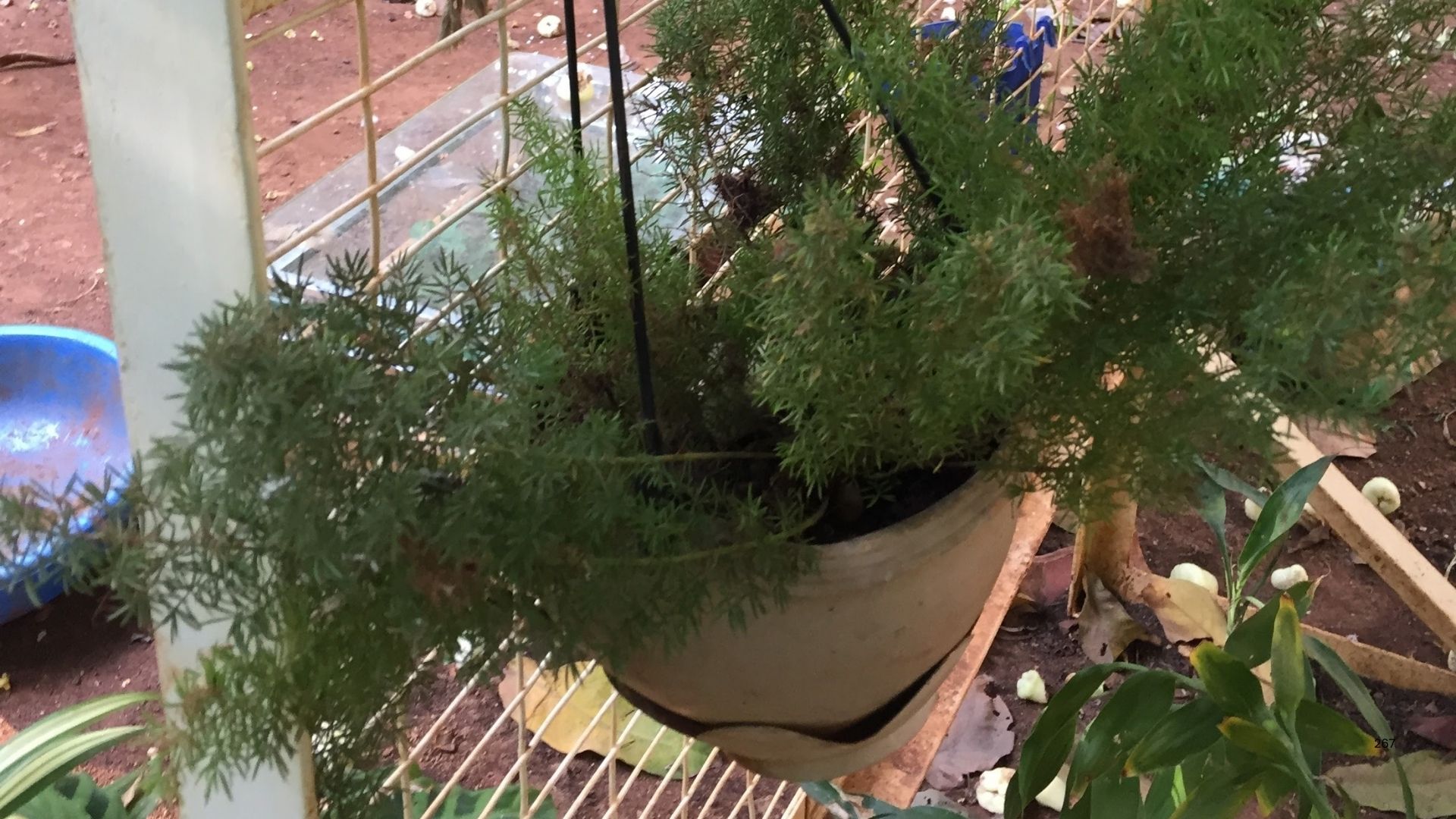 Building Climate-Resilient Communities with Earth5R’s Livelihood Model ...