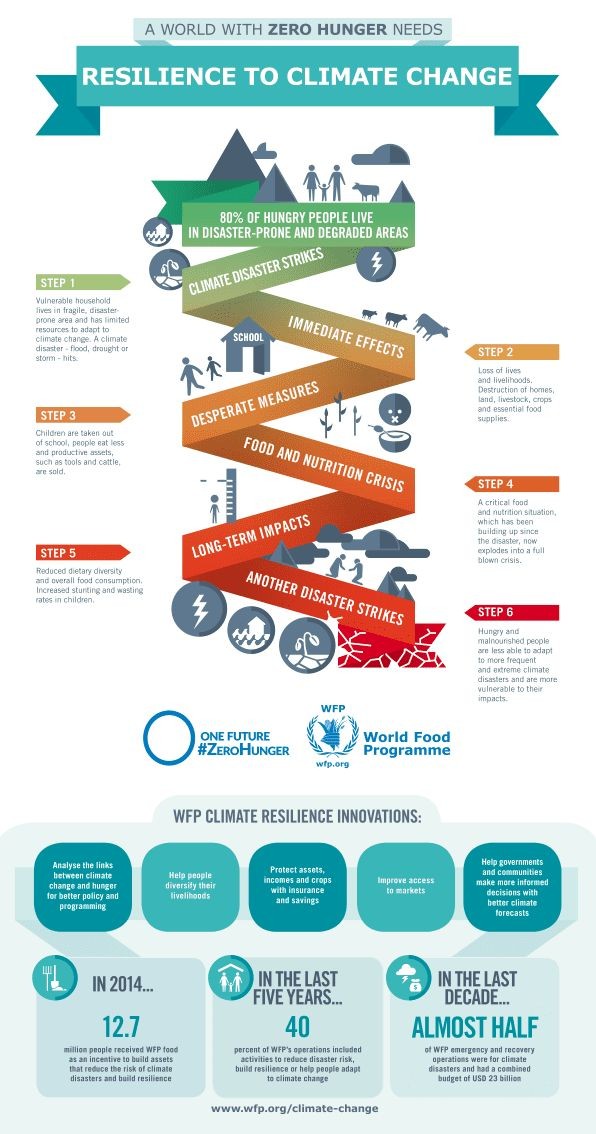 Building Climate-Resilient Communities with Earth5R’s Livelihood Model - Earth5R