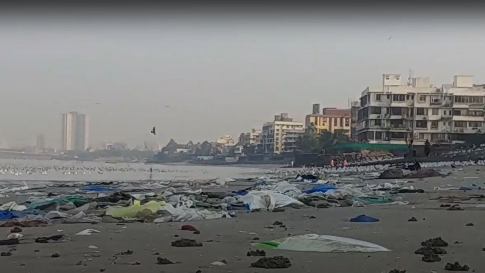 Earth5R’s Coastal Waste Recovery and Marine Plastic Mitigation ...