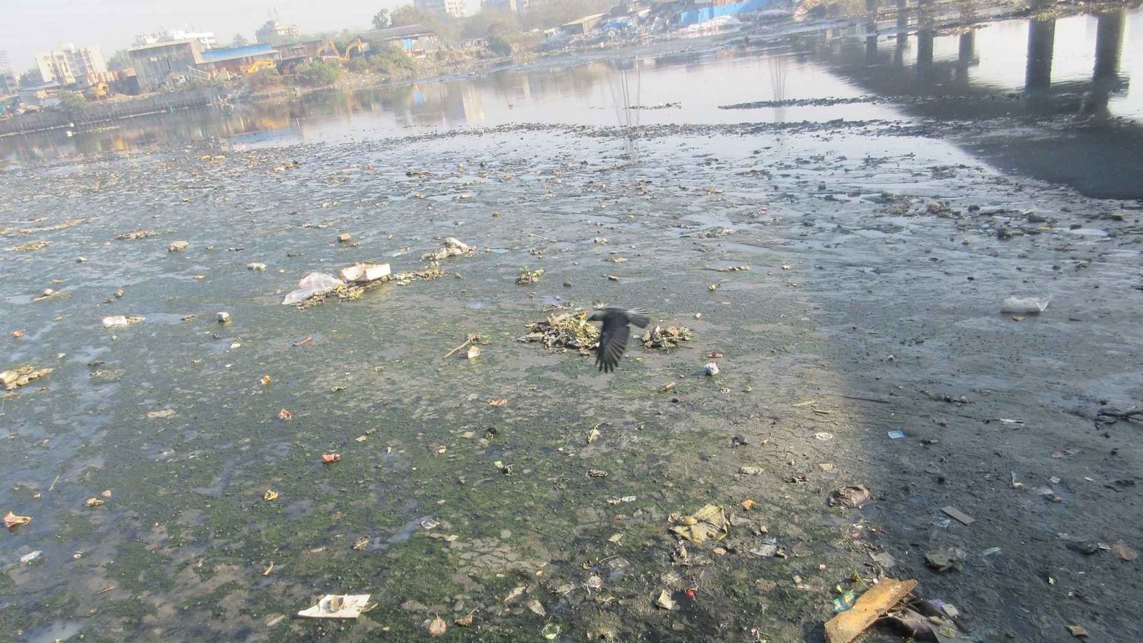 Earth5R’s River Health Index: A Community-Based Monitoring Tool : Earth5R