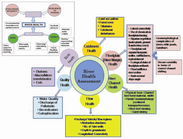 Earth5R’s River Health Index: A Community-Based Monitoring Tool : Earth5R