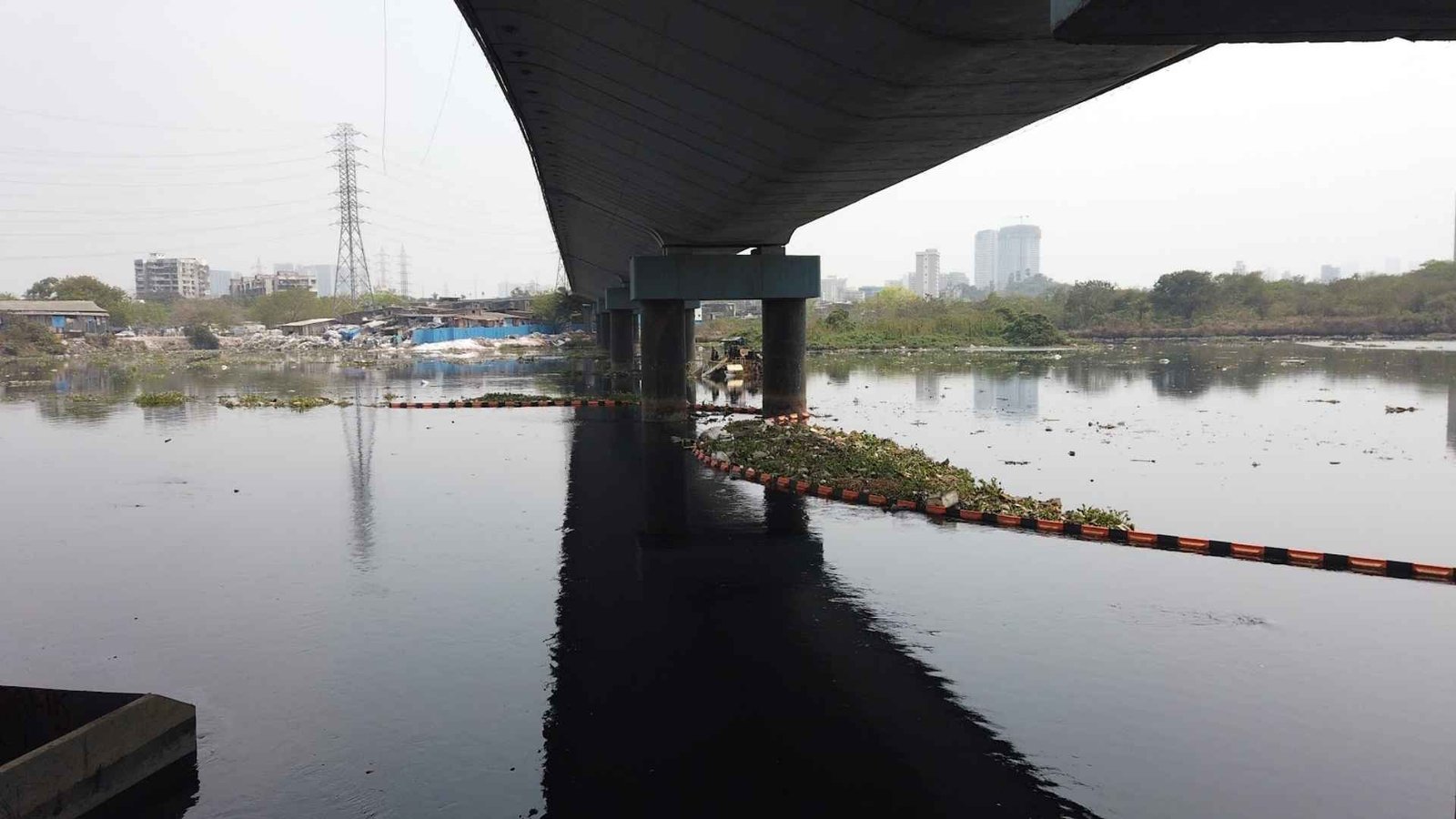 Earth5R’s Community-Driven Lake Cleanup and Conservation Model - Earth5R