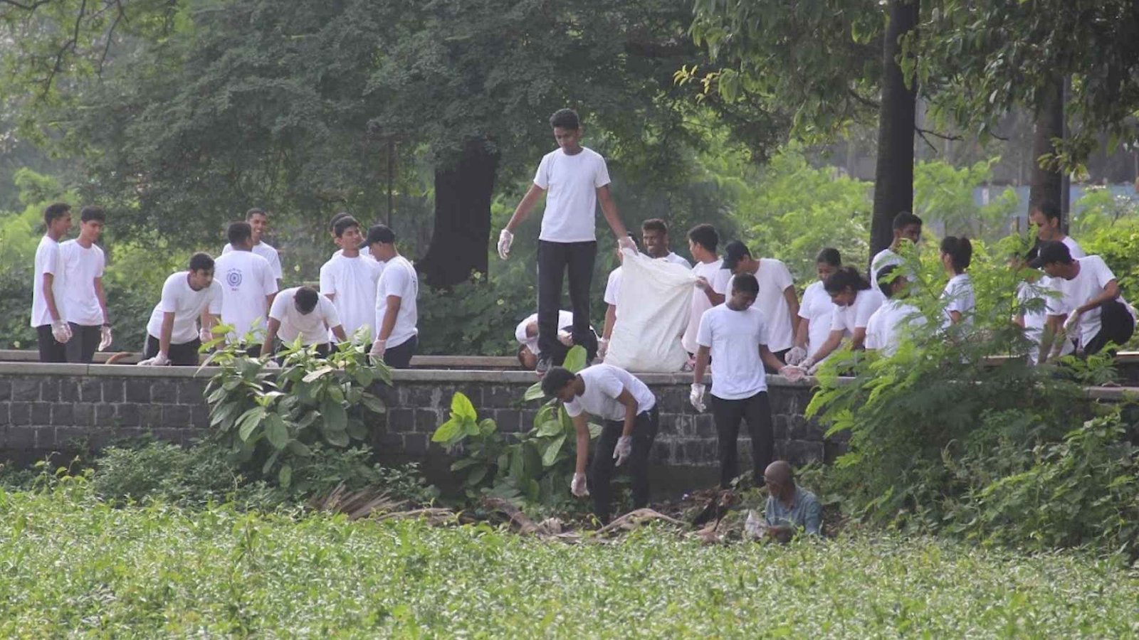 Earth5R’s Urban Biodiversity Revival Blueprint through Native ...