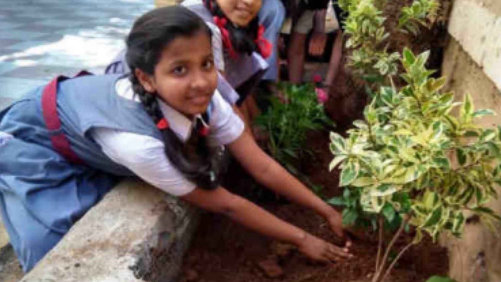 Earth5R’s Urban Biodiversity Revival Blueprint through Native ...