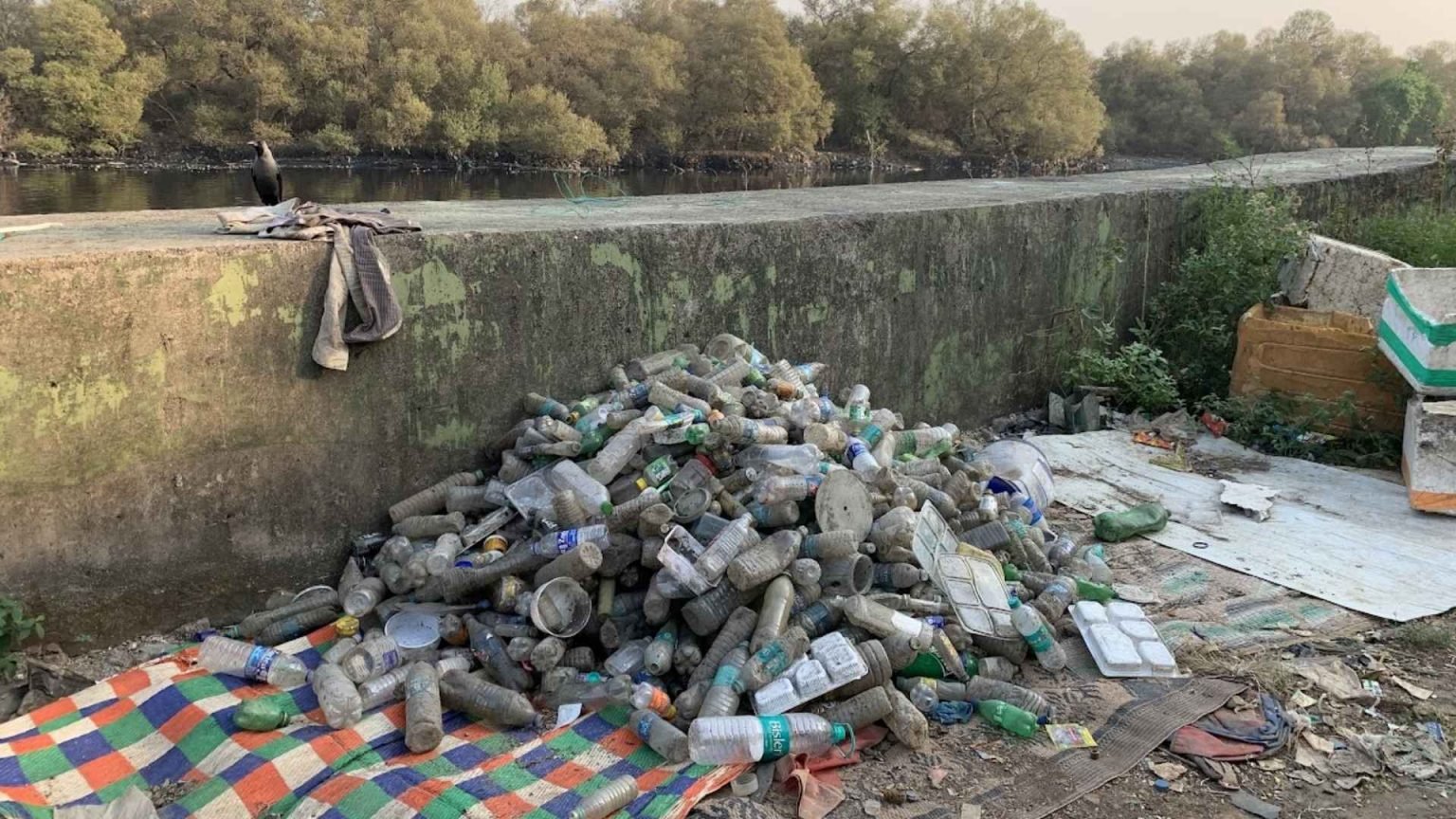 Earth5R’s Step-by-Step Plastic Cleanup Framework for Community Action ...