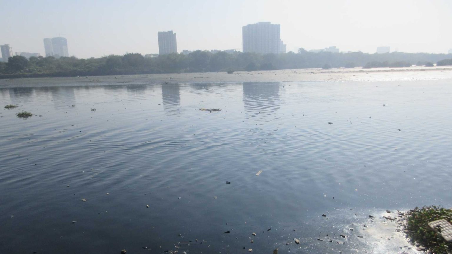 The Anatomy of a River Cleanup: Lessons from Earth5R’s On-Ground Model ...