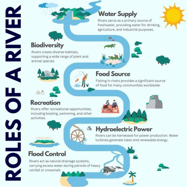 The Anatomy of a River Cleanup: Lessons from Earth5R’s On-Ground Model ...