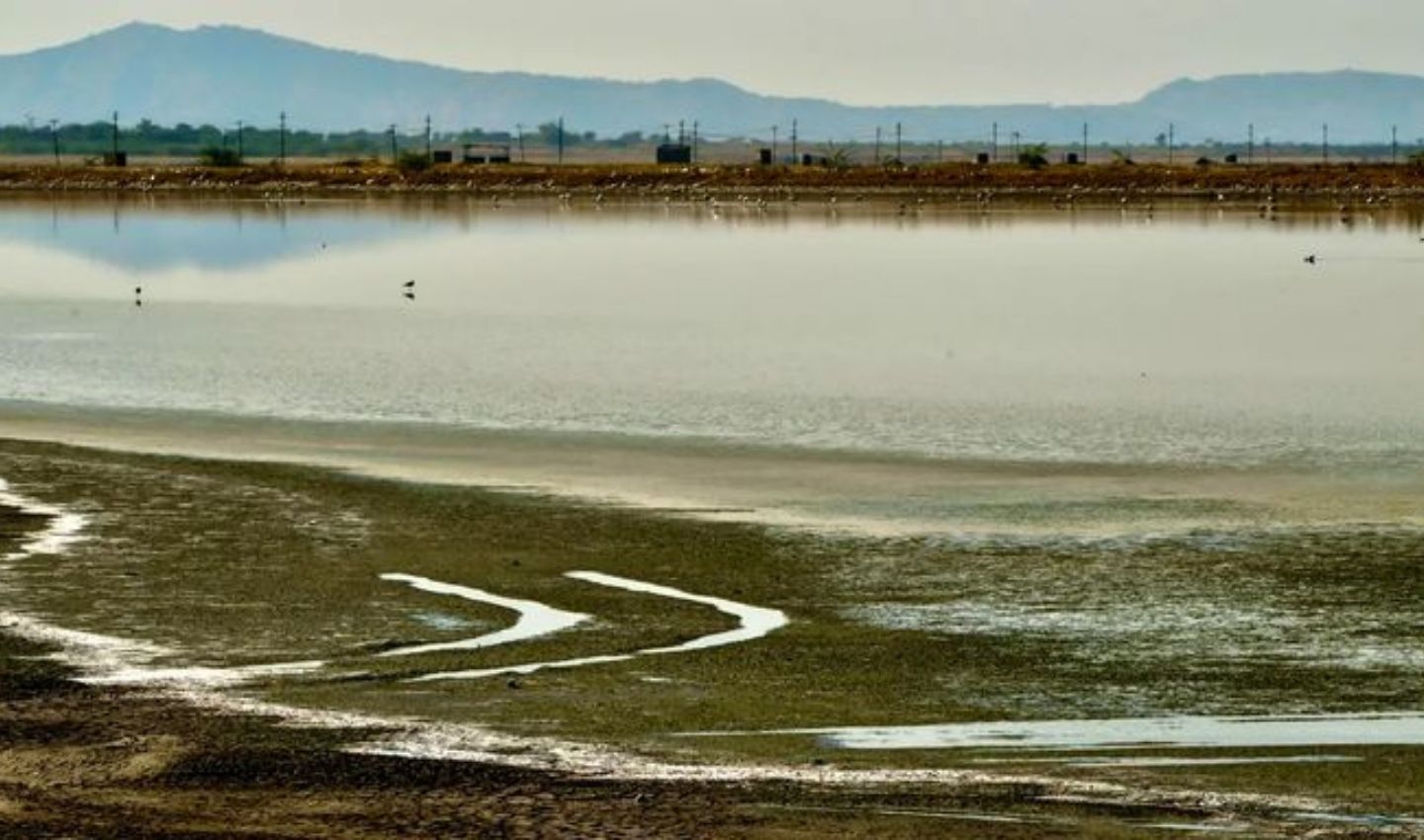 Reviving Sambhar Lake: Earth5R’s Blueprint for Sustainable River ...