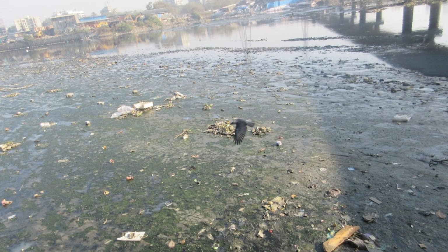 Transforming River Pollution: Earth5R’s Community Cleanup Framework ...
