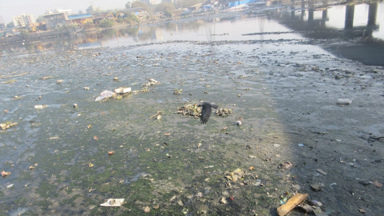 Transforming River Pollution: Earth5R’s Community Cleanup Framework ...