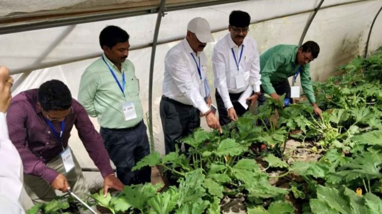 Earth5R’s Community Tree-Planting Framework for Scalable Urban Greening ...