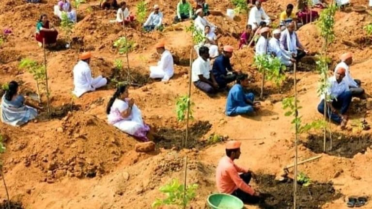 Earth5R’s Community Tree-Planting Framework for Scalable Urban Greening ...