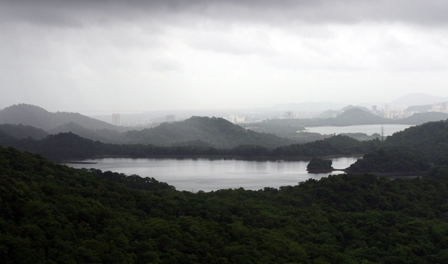 Reviving Tulsi Lake: Earth5R’s Blueprint for Sustainable Urban Water ...