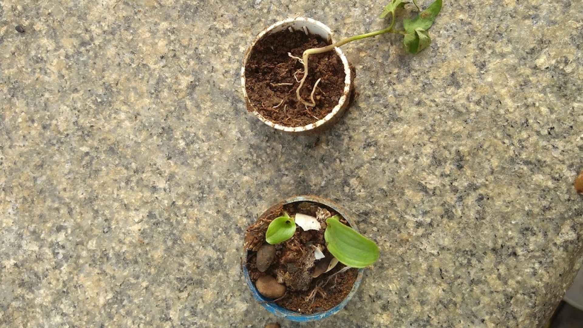 Earth5R’s Practical Steps to Urban Composting : Earth5R