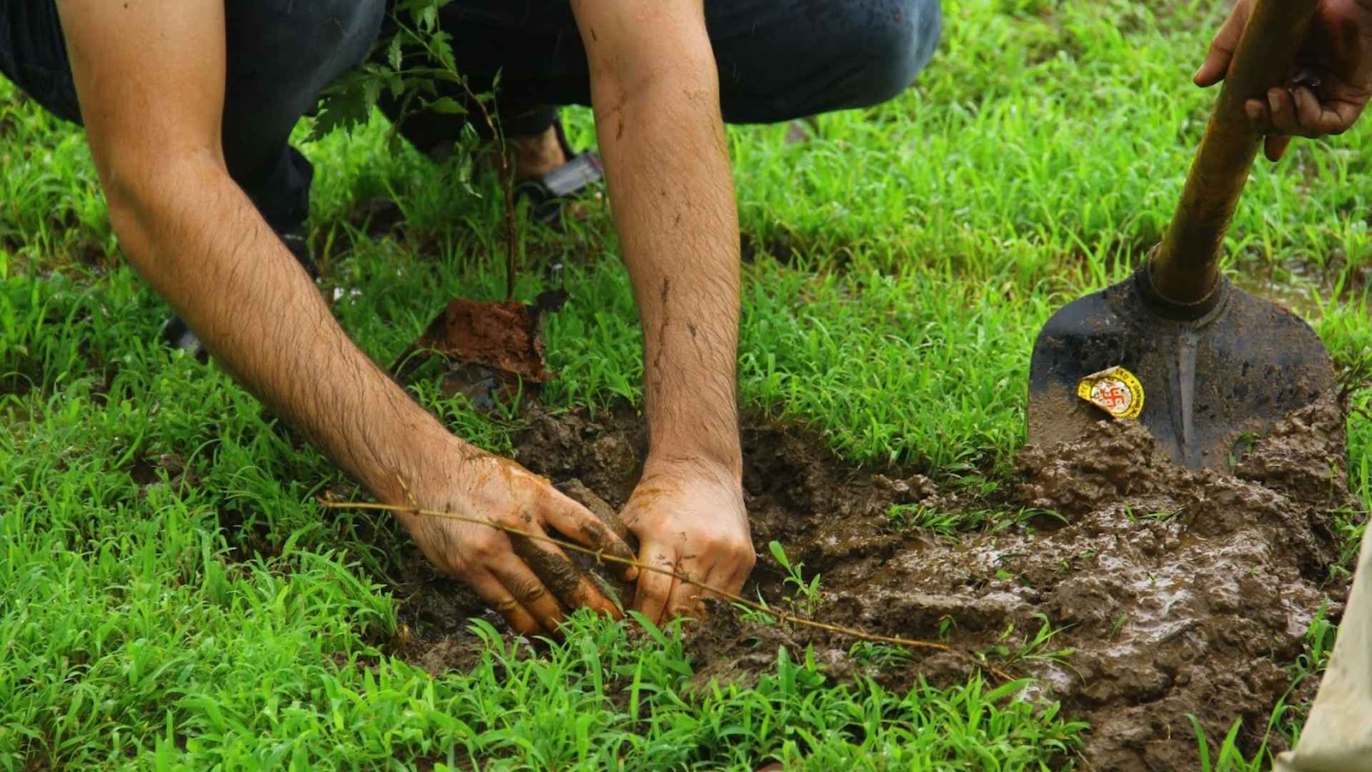 Earth5R’s Practical Steps to Urban Composting : Earth5R