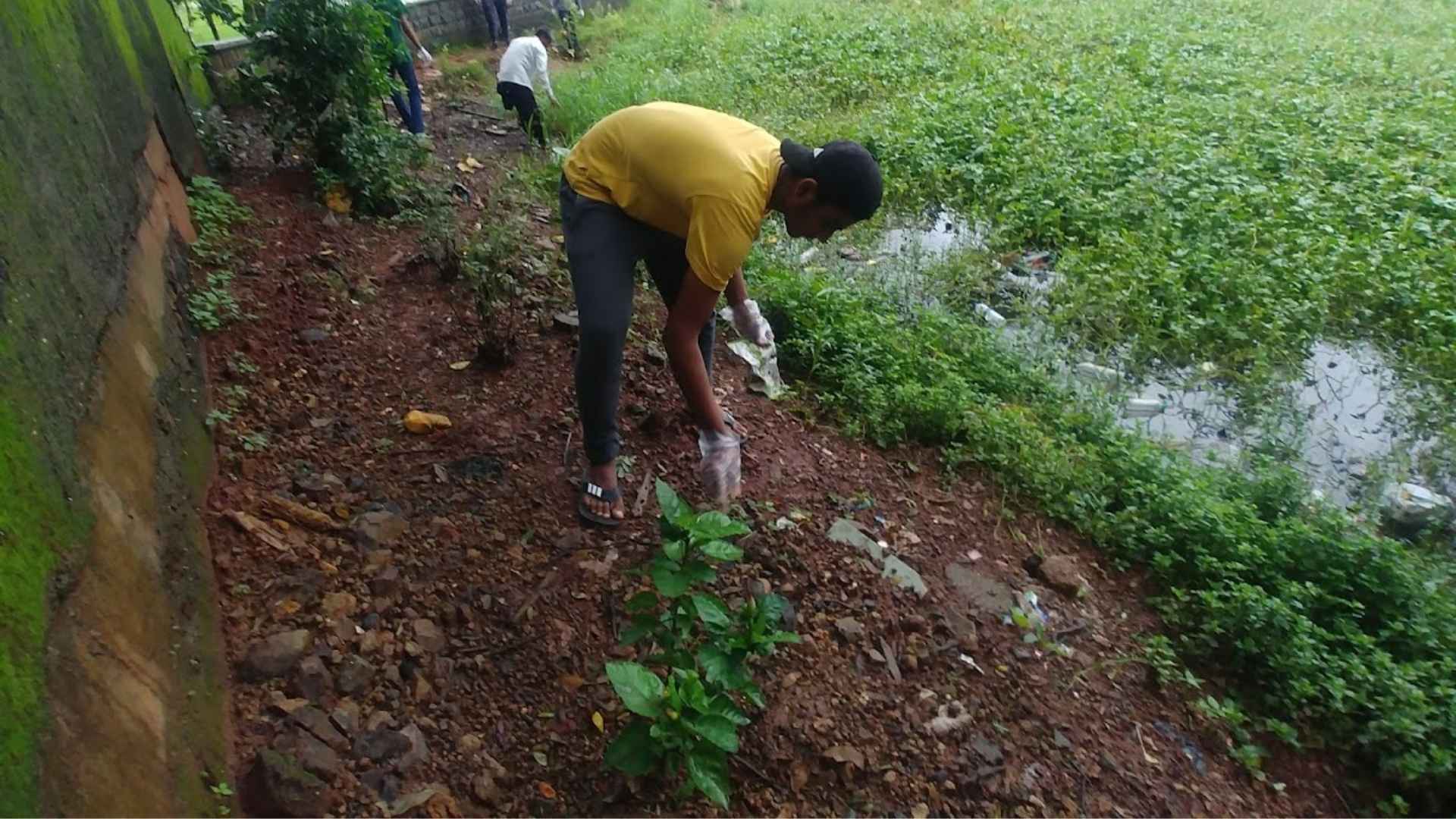 Community-based Urban Gardening for Biodiversity - Earth5R