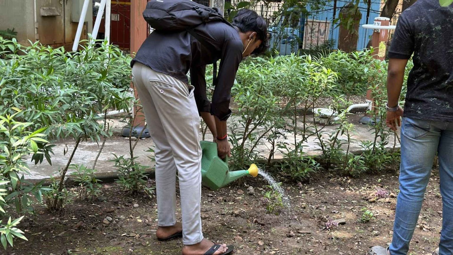 Community-based Urban Gardening for Biodiversity - Earth5R