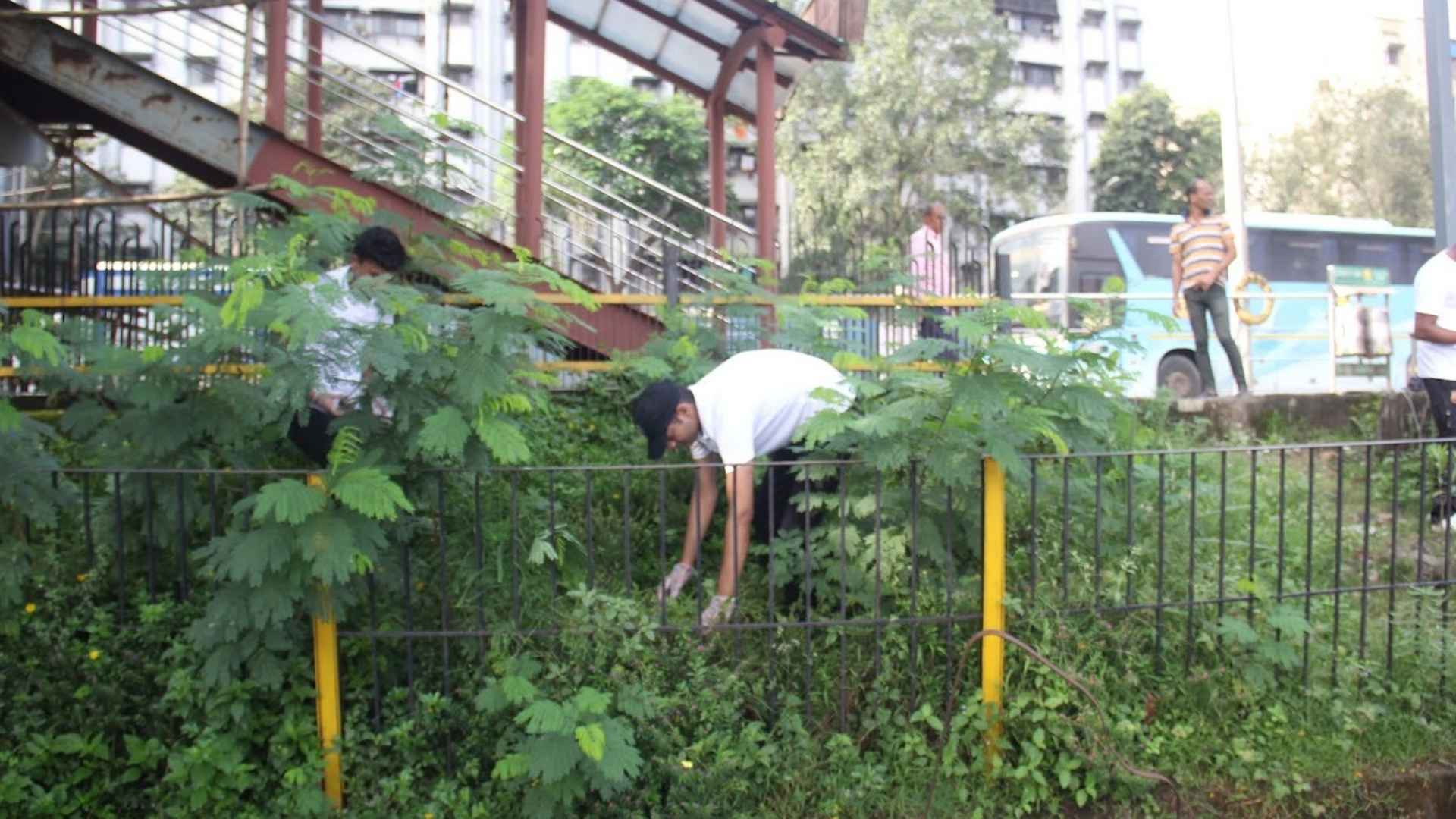 Community-based Urban Gardening for Biodiversity - Earth5R