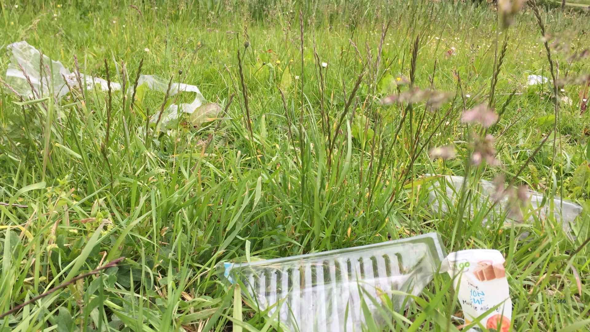 Waste Mapping for Change: How Earth5R Uses Data to Drive Local Action ...