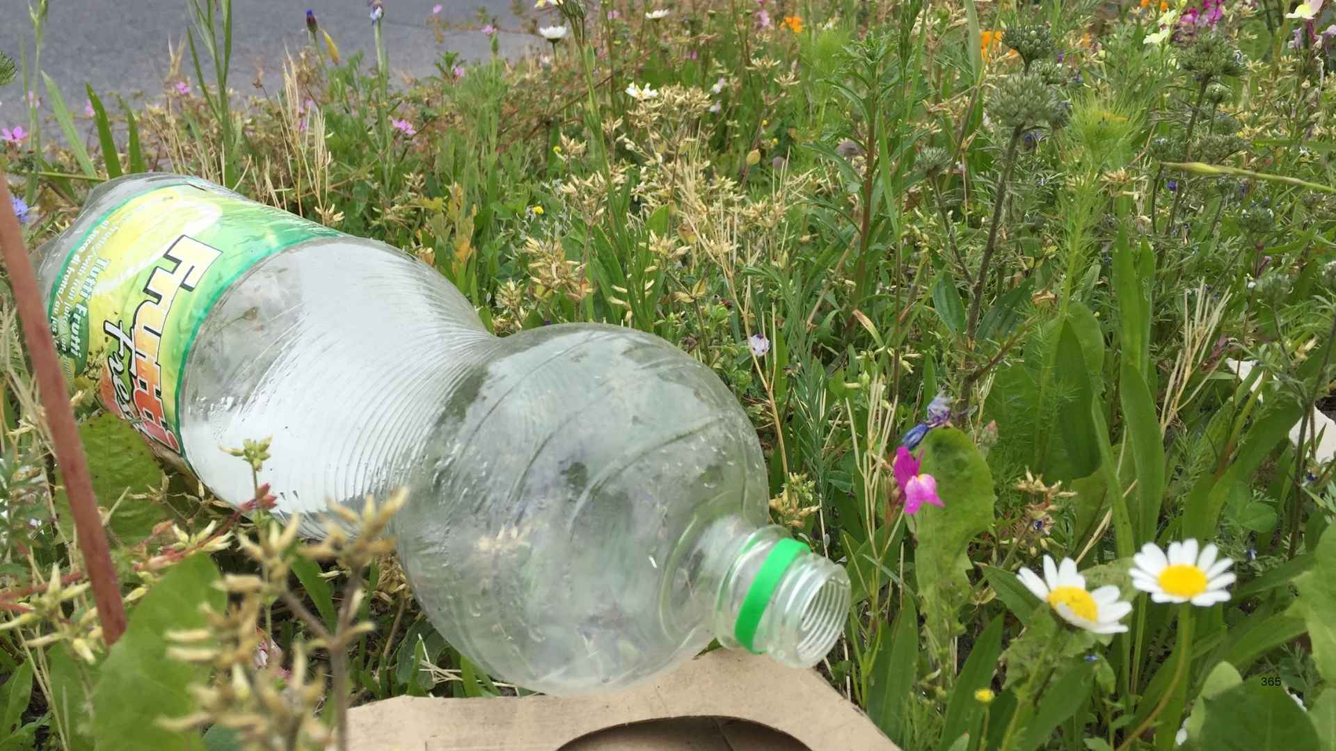 Waste Mapping for Change: How Earth5R Uses Data to Drive Local Action ...