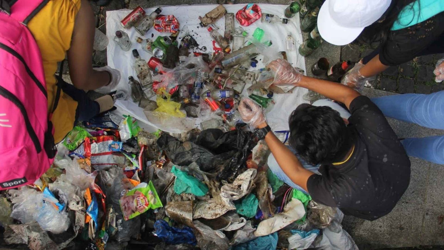 How to Set Up an Effective Community Waste Segregation Program : Earth5R