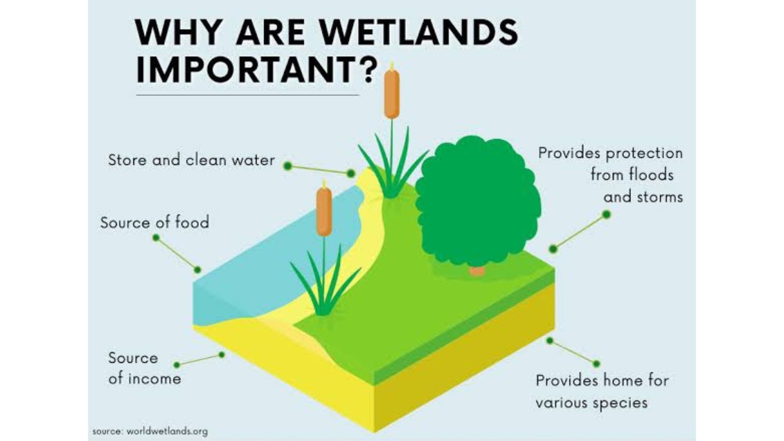 Earth5R’s Participatory Wetland Conservation Strategy in Action : Earth5R