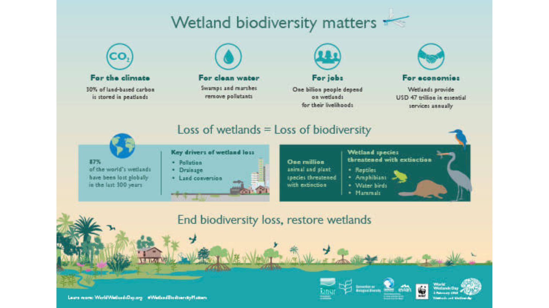 Earth5R’s Participatory Wetland Conservation Strategy in Action - Earth5R