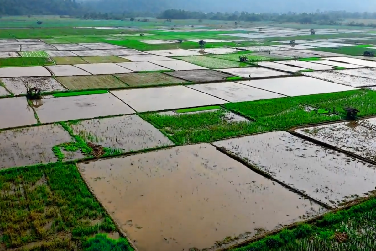 Earth5R’s Organic and Sustainable Agriculture Program : Earth5R