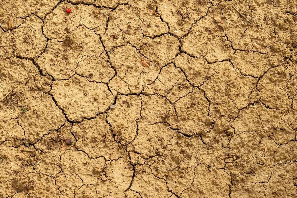 The Soil Remembers: Awareness and the Return of Respect in Rural ...