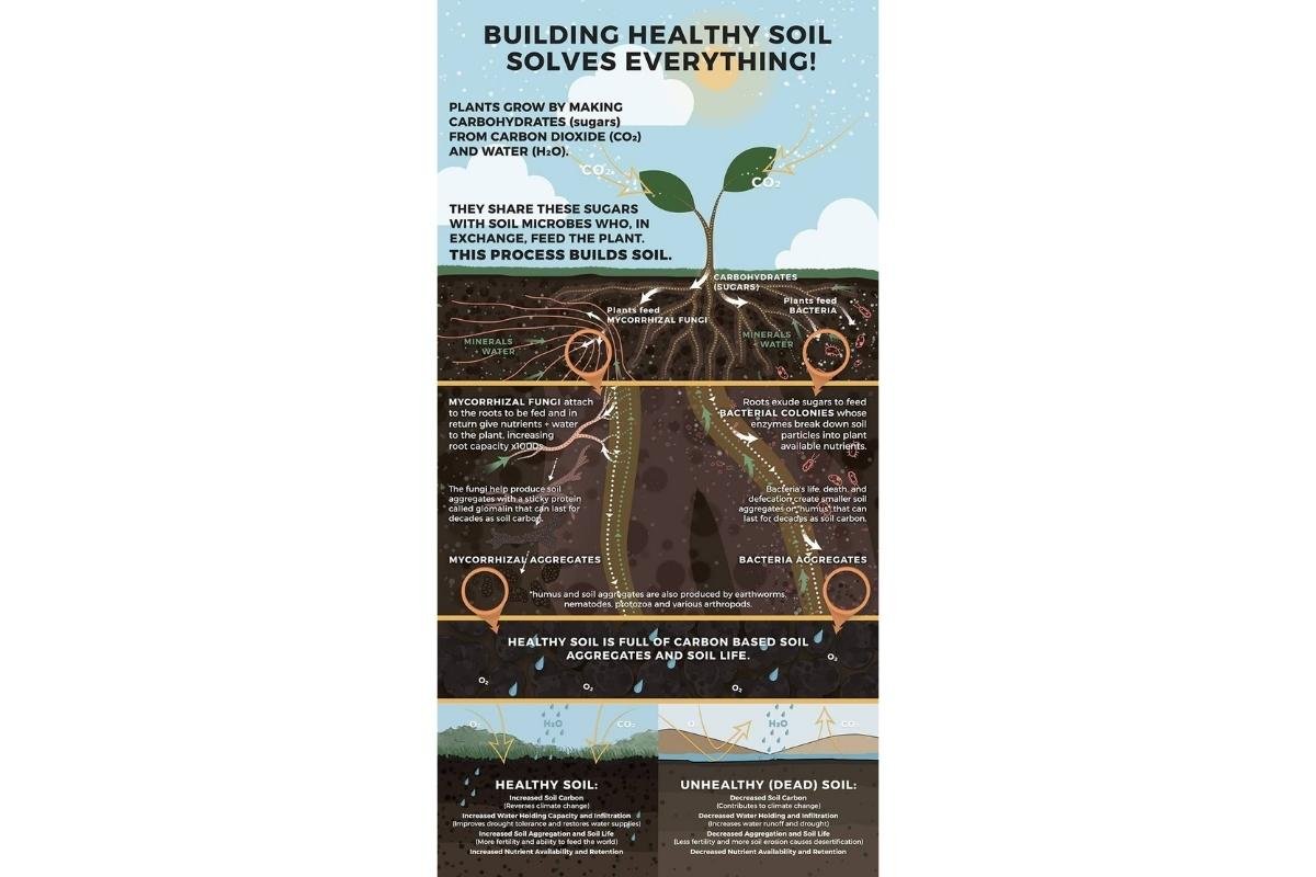 The Soil Remembers: Awareness and the Return of Respect in Rural ...