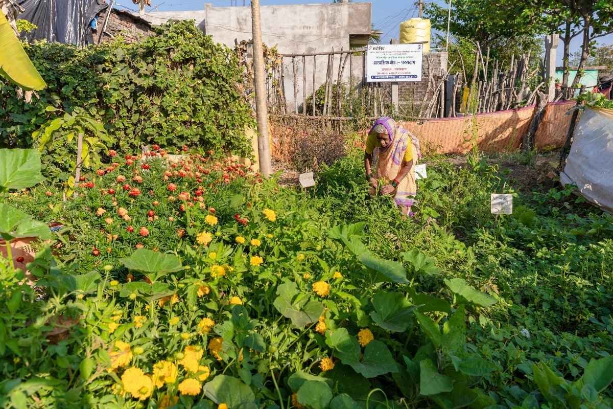 Back to the Roots: How Villages Are Rediscovering Sustainable Farming ...